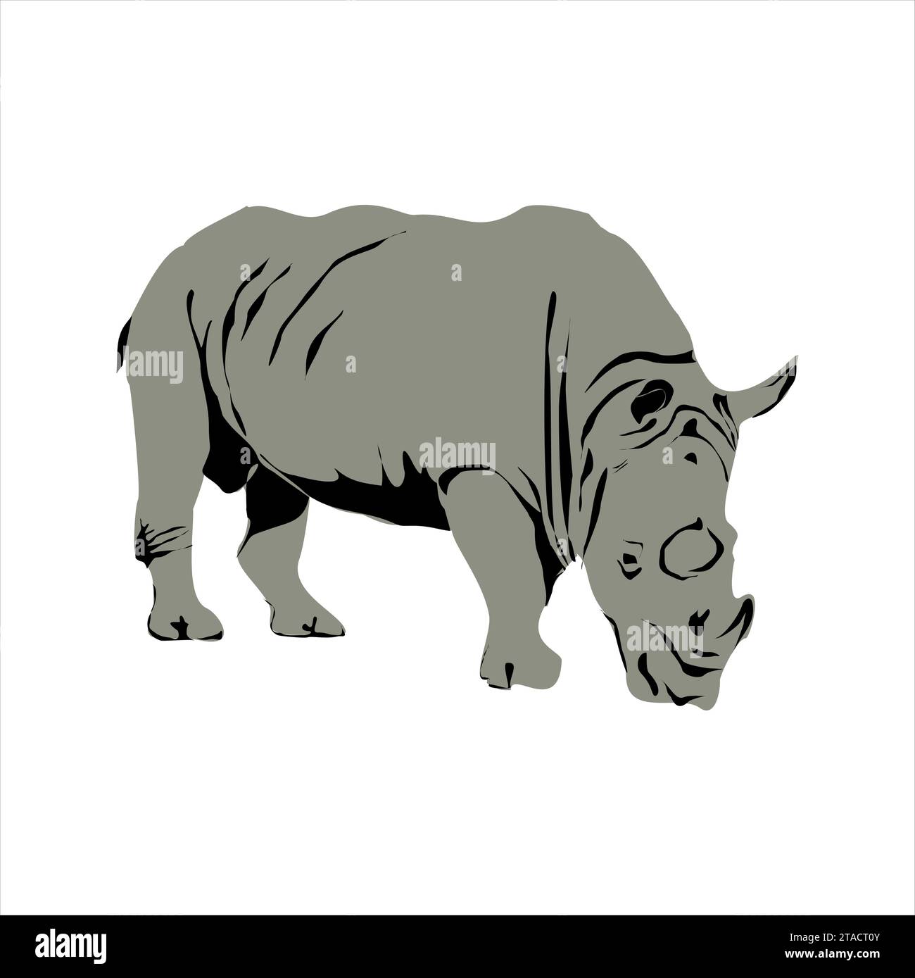 Vector illustration of the Javan Rhinoceros, a rare Indonesian animal ...