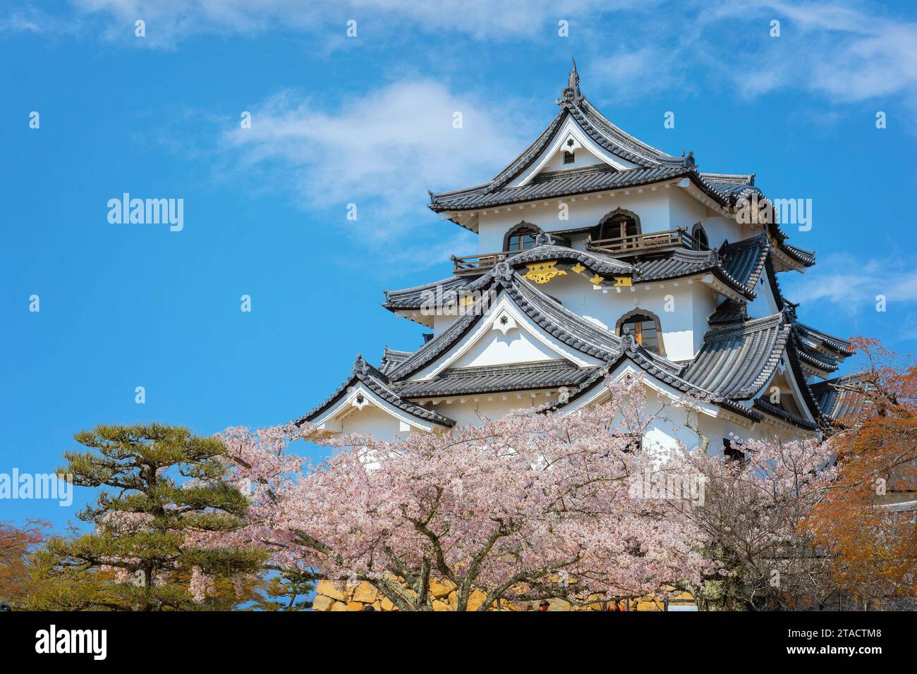 Shiga, Japan - April 3 2023: Hikone Castle completed in 1622, a ...