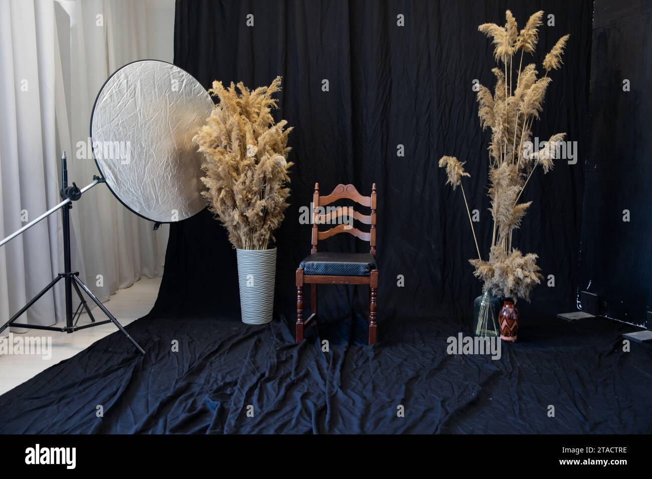Dried flowers in vase chair background for photo studio Stock Photo - Alamy