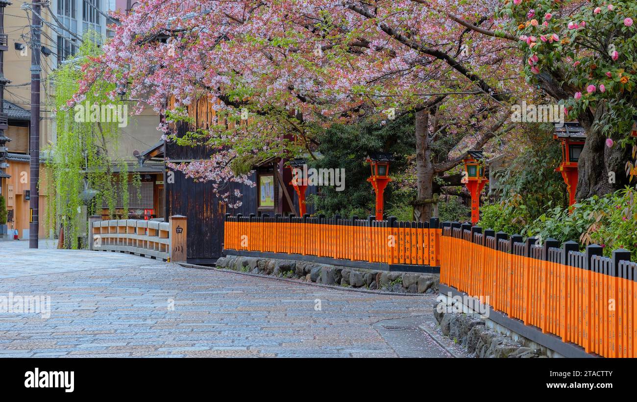 Kyoto, Japan - April 6 2023: Tatsumi bashi bridge is the iconic place ...