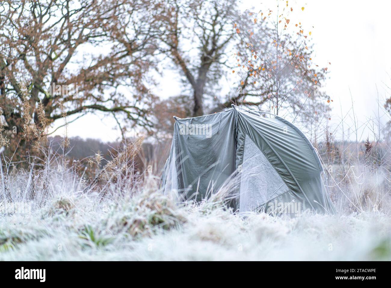 Kidderminster, UK. 30th November, 2023. UK weather: a harsh freeze hits ...
