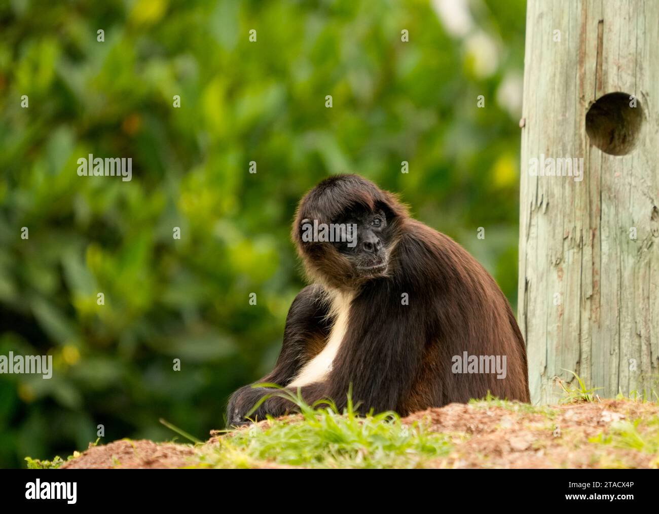 Naples, United States. 29th Nov, 2023. Naples, Florida, Friday ...