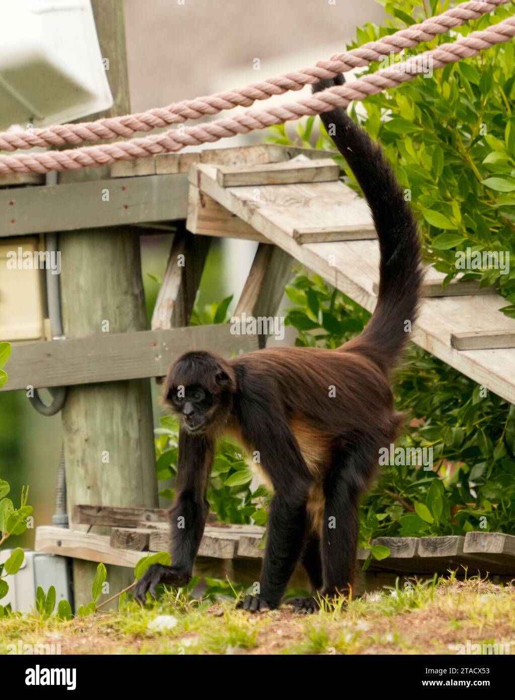 Naples, United States. 29th Nov, 2023. Naples, Florida, Friday ...