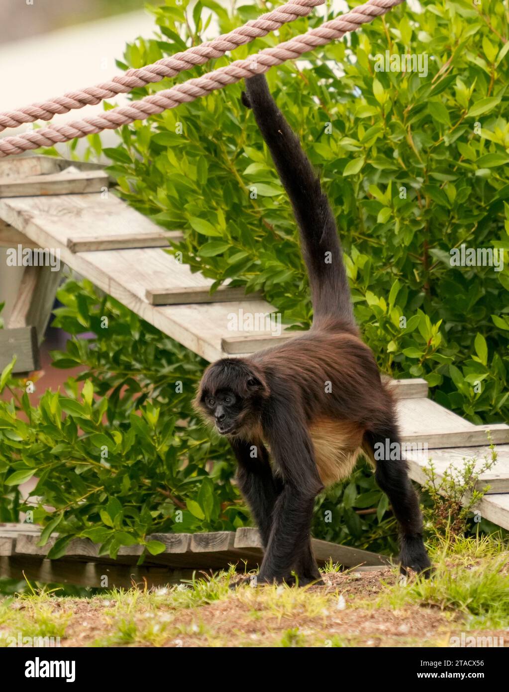 Naples, United States. 29th Nov, 2023. Naples, Florida, Friday ...