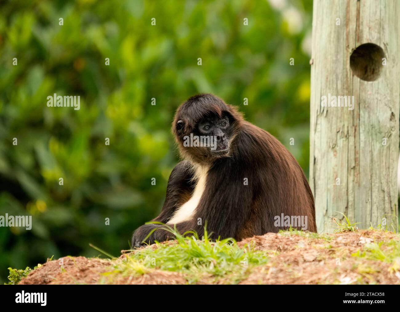Naples, United States. 29th Nov, 2023. Naples, Florida, Friday ...