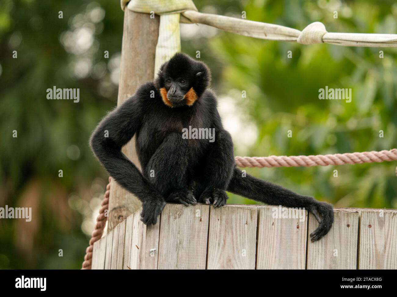 Naples, United States. 29th Nov, 2023. Naples, Florida, Friday ...
