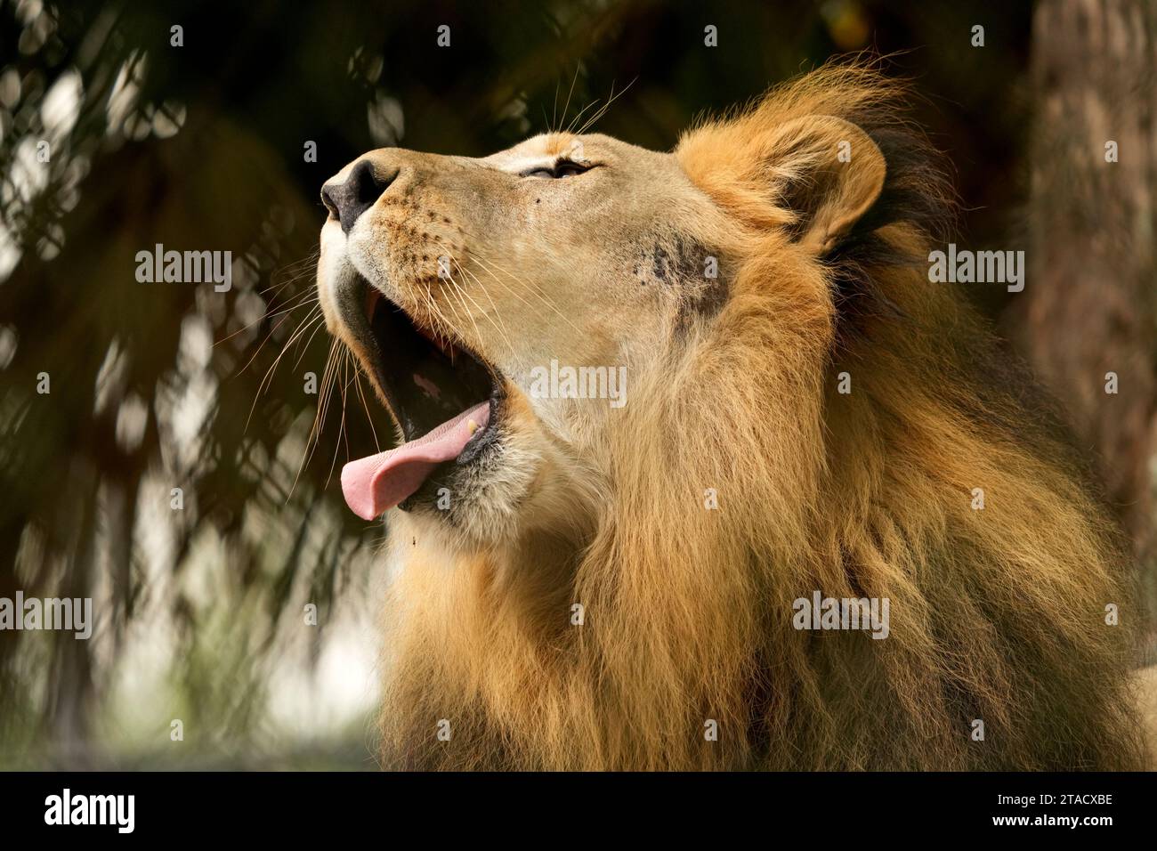 Naples, United States. 29th Nov, 2023. Naples, Florida, Friday ...