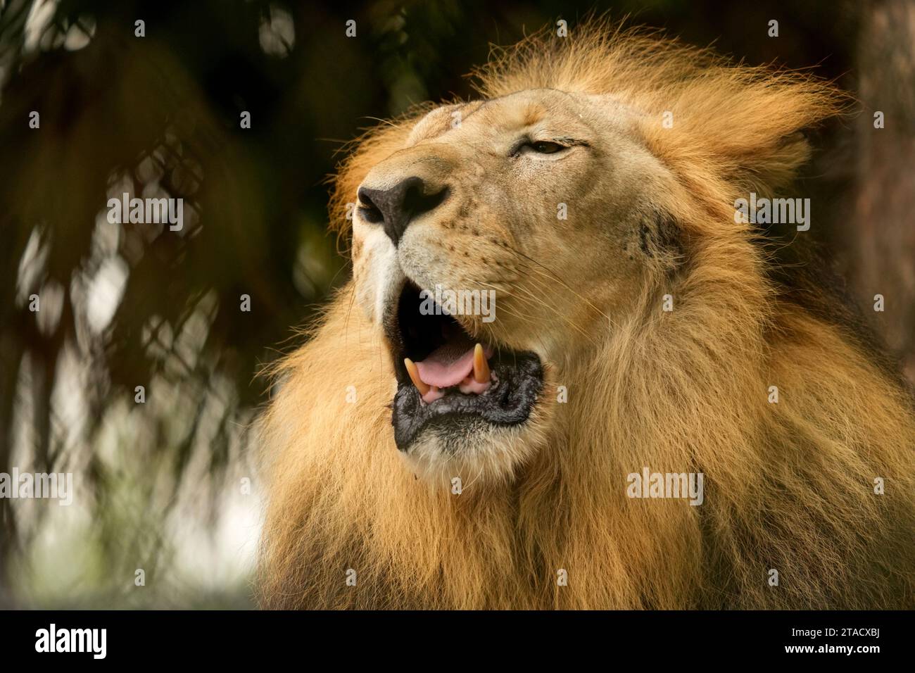 Naples, United States. 29th Nov, 2023. Naples, Florida, Friday ...