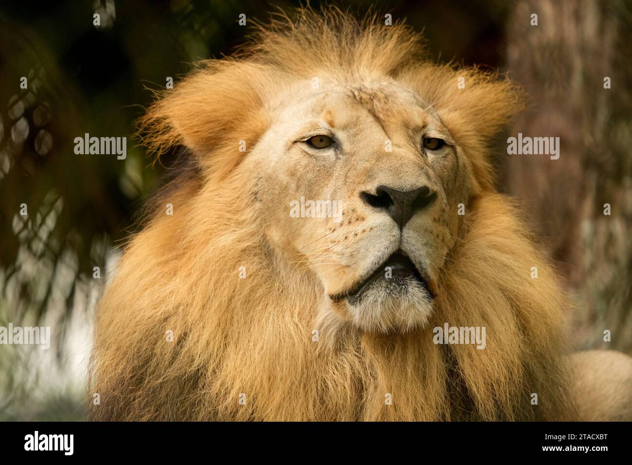 Naples, United States. 29th Nov, 2023. Naples, Florida, Friday ...