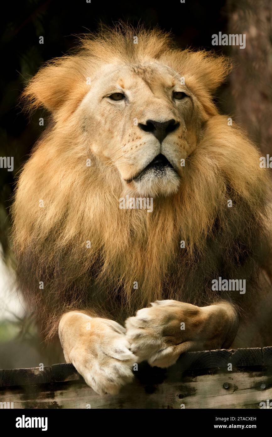 Naples, United States. 29th Nov, 2023. Naples, Florida, Friday ...