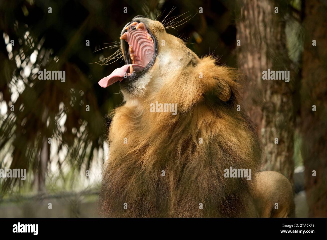 Naples, United States. 29th Nov, 2023. Naples, Florida, Friday ...