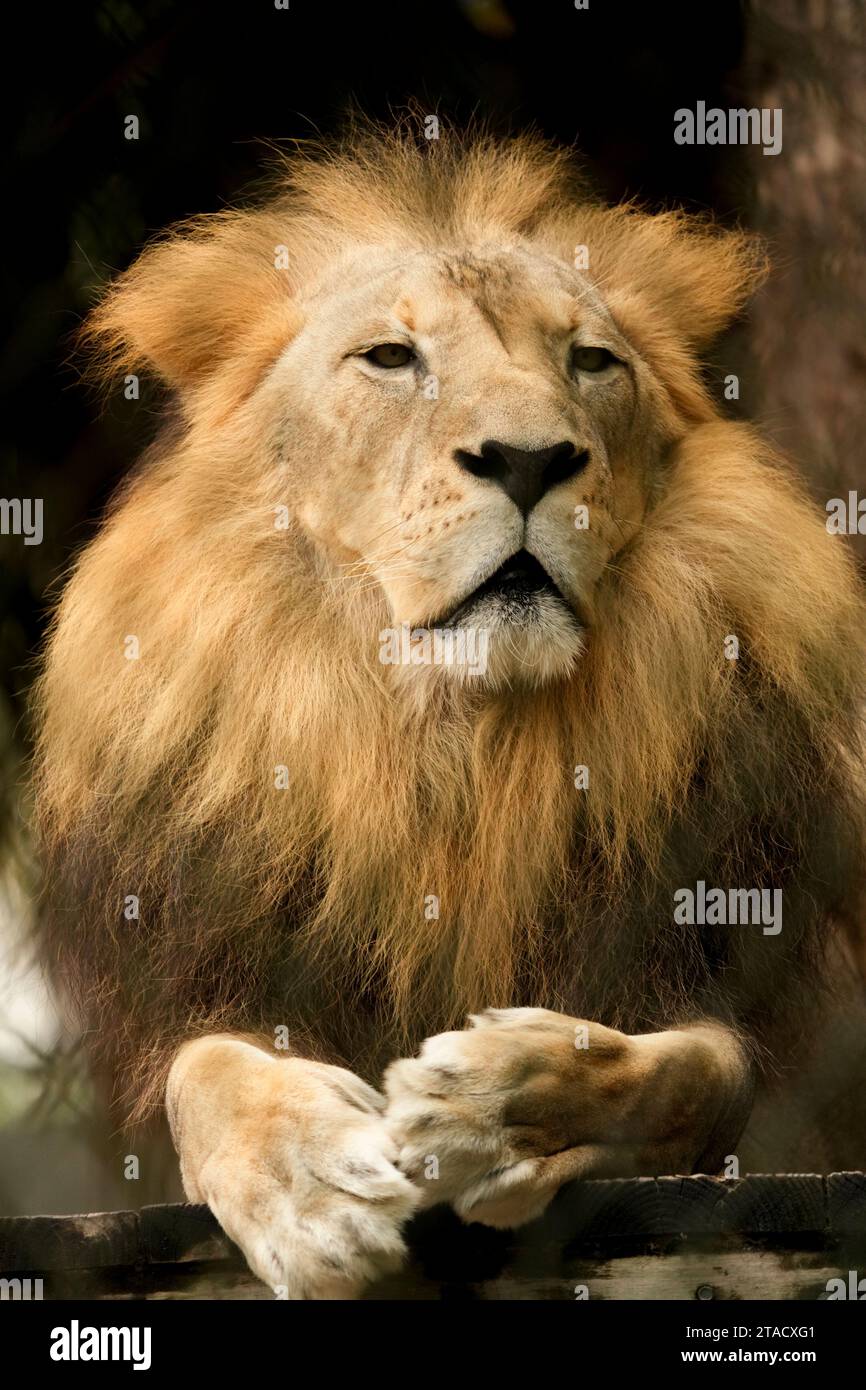 Naples, United States. 29th Nov, 2023. Naples, Florida, Friday ...