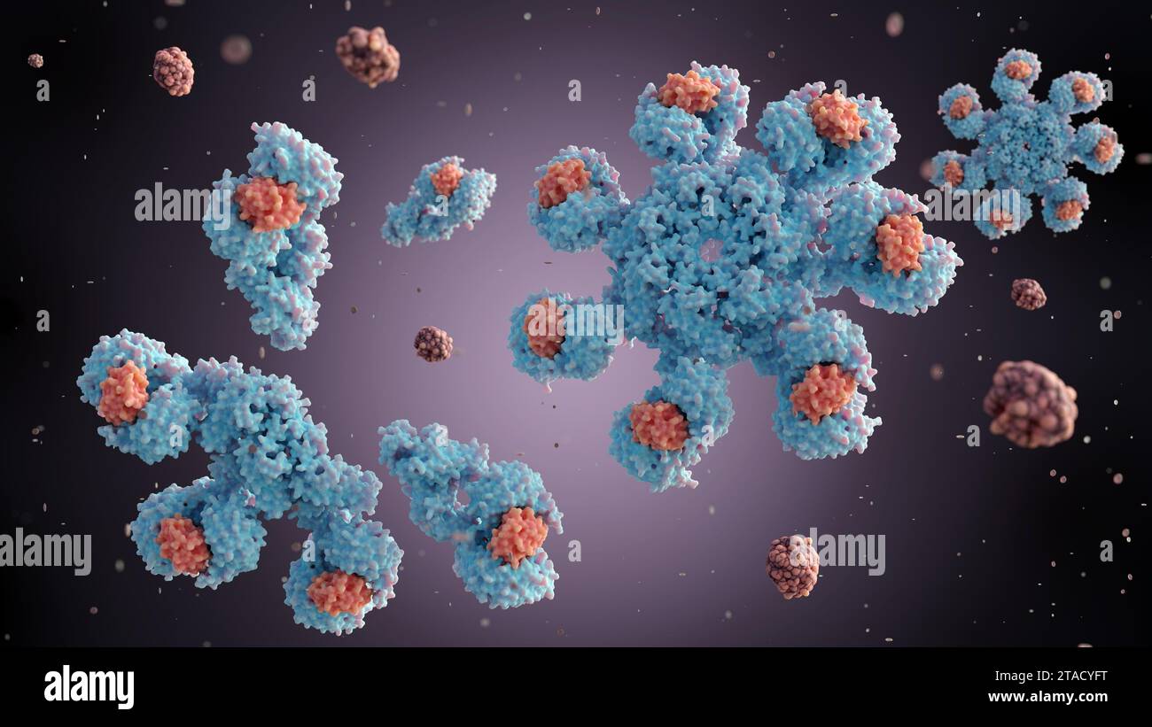 3D rendering of forming human apoptosome molecule contains seven Apaf-1 ...