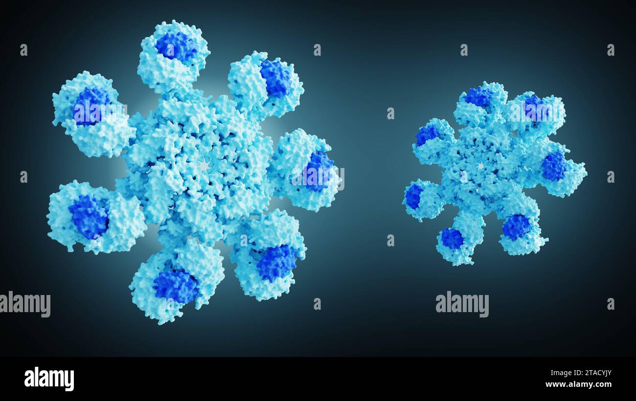 Human cell structure hi-res stock photography and images - Alamy