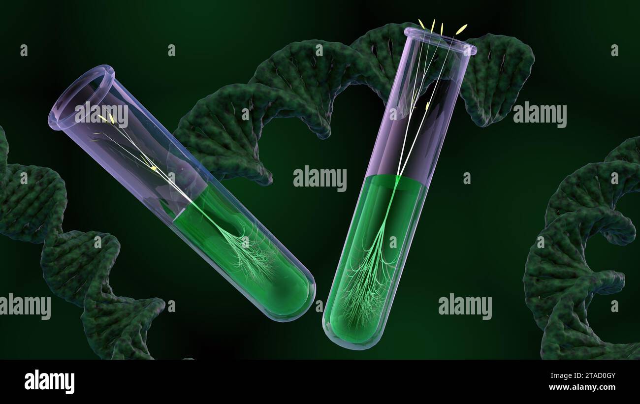 3D rendering of plant germination inside a test tube and a close-up of ...