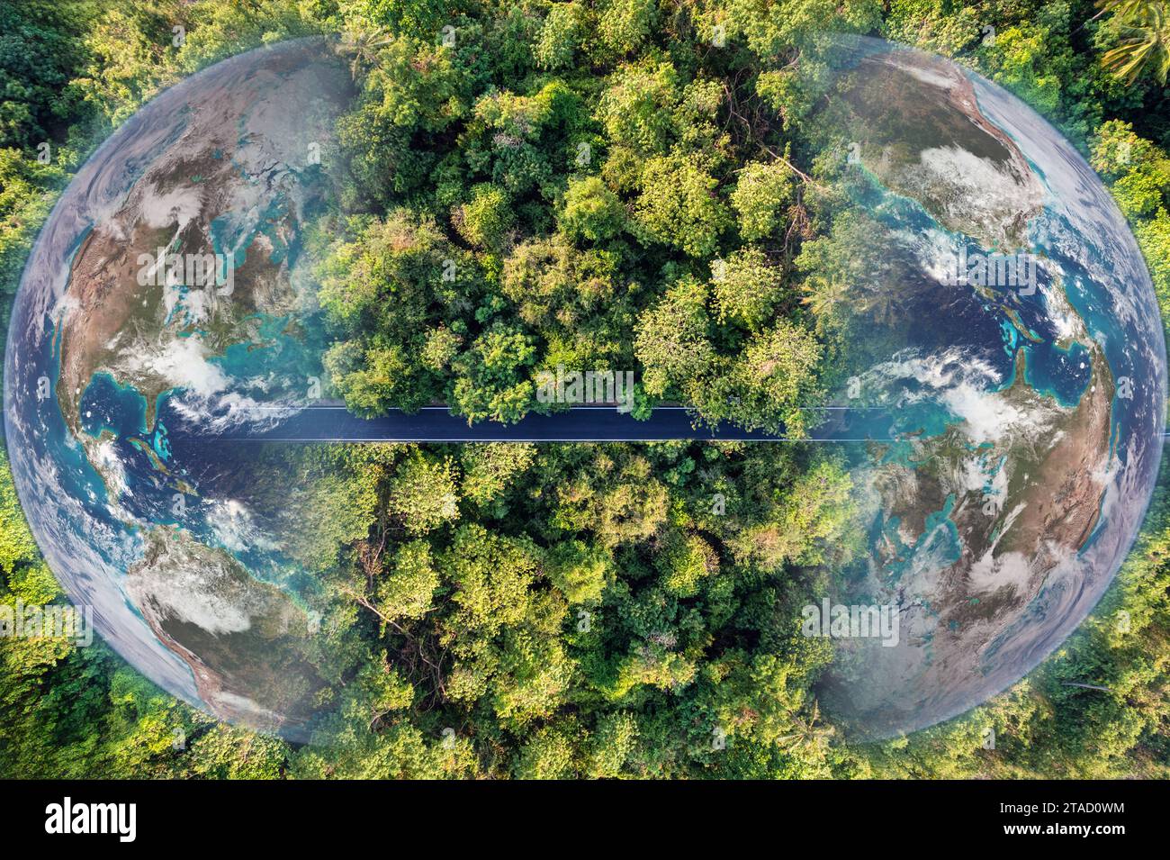 Top view of lush tropical rainforest with globe of earth and asphalt ...