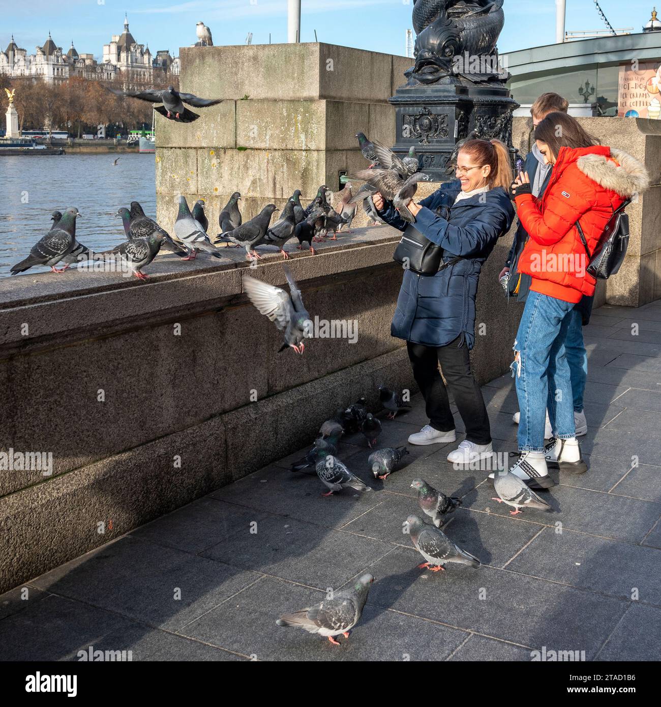 People feeding pigeons on South Bank, London Stock Photo - Alamy