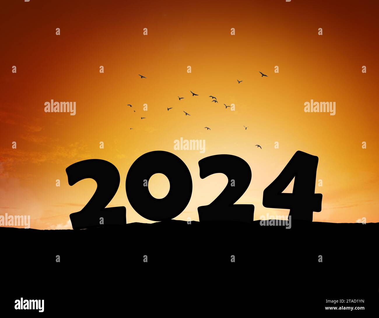 New Year 2024 at sunset. Silhouette 2024 stands on a mountain with sun ...