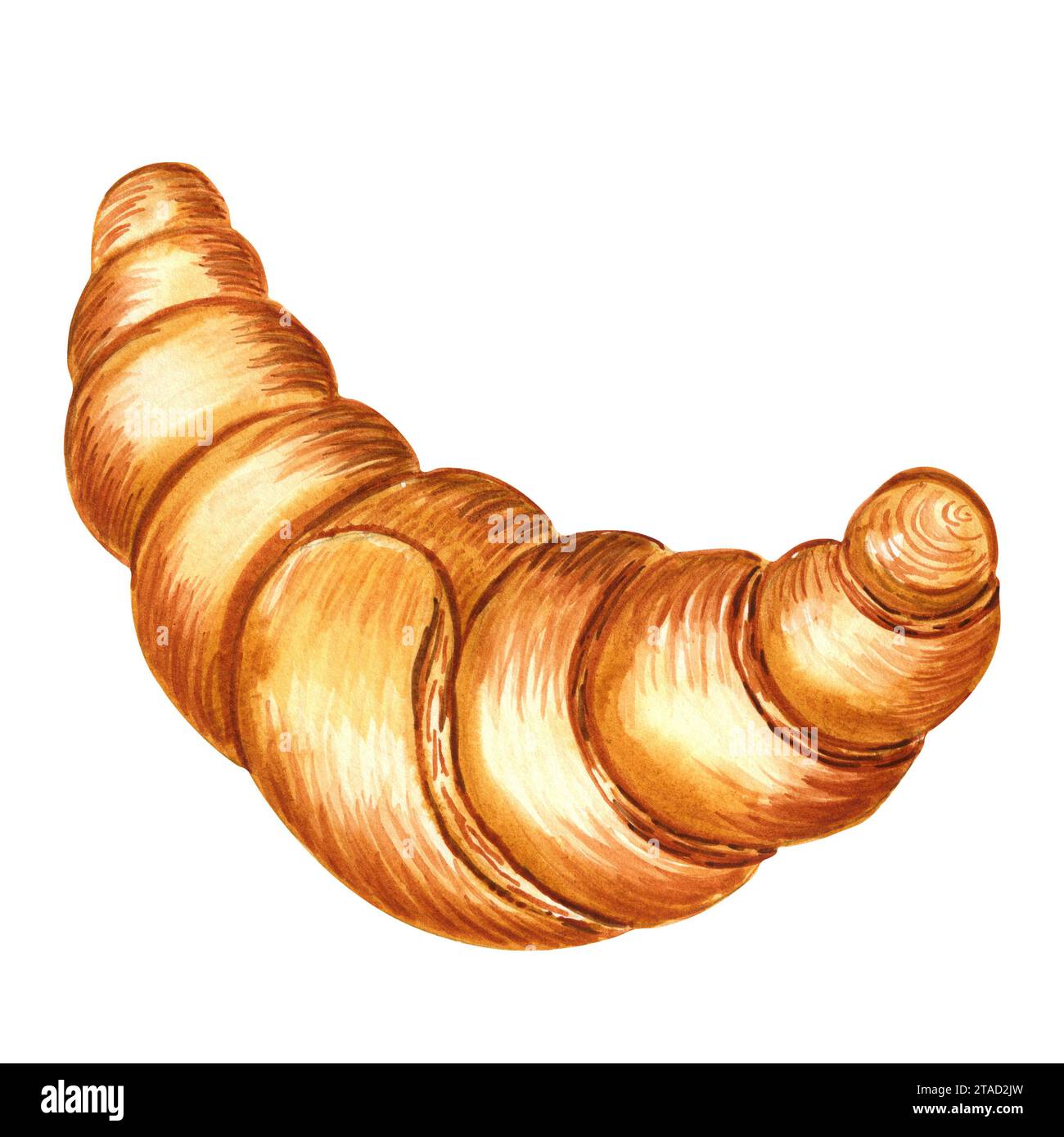 Croissant watercolor illustration. Hand drawn french pastries Stock ...