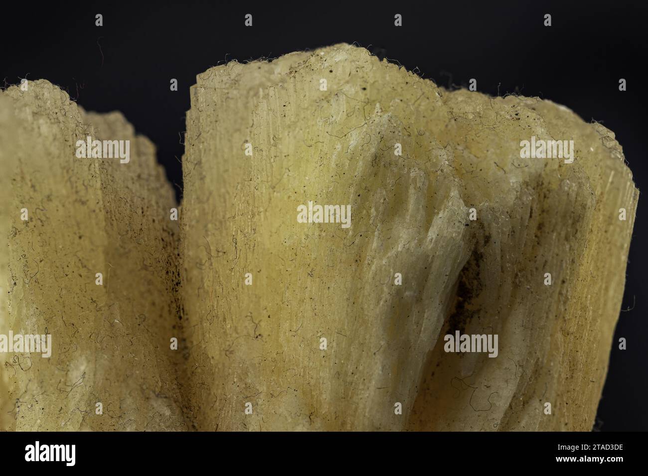 Striking dark patterns hi-res stock photography and images - Alamy