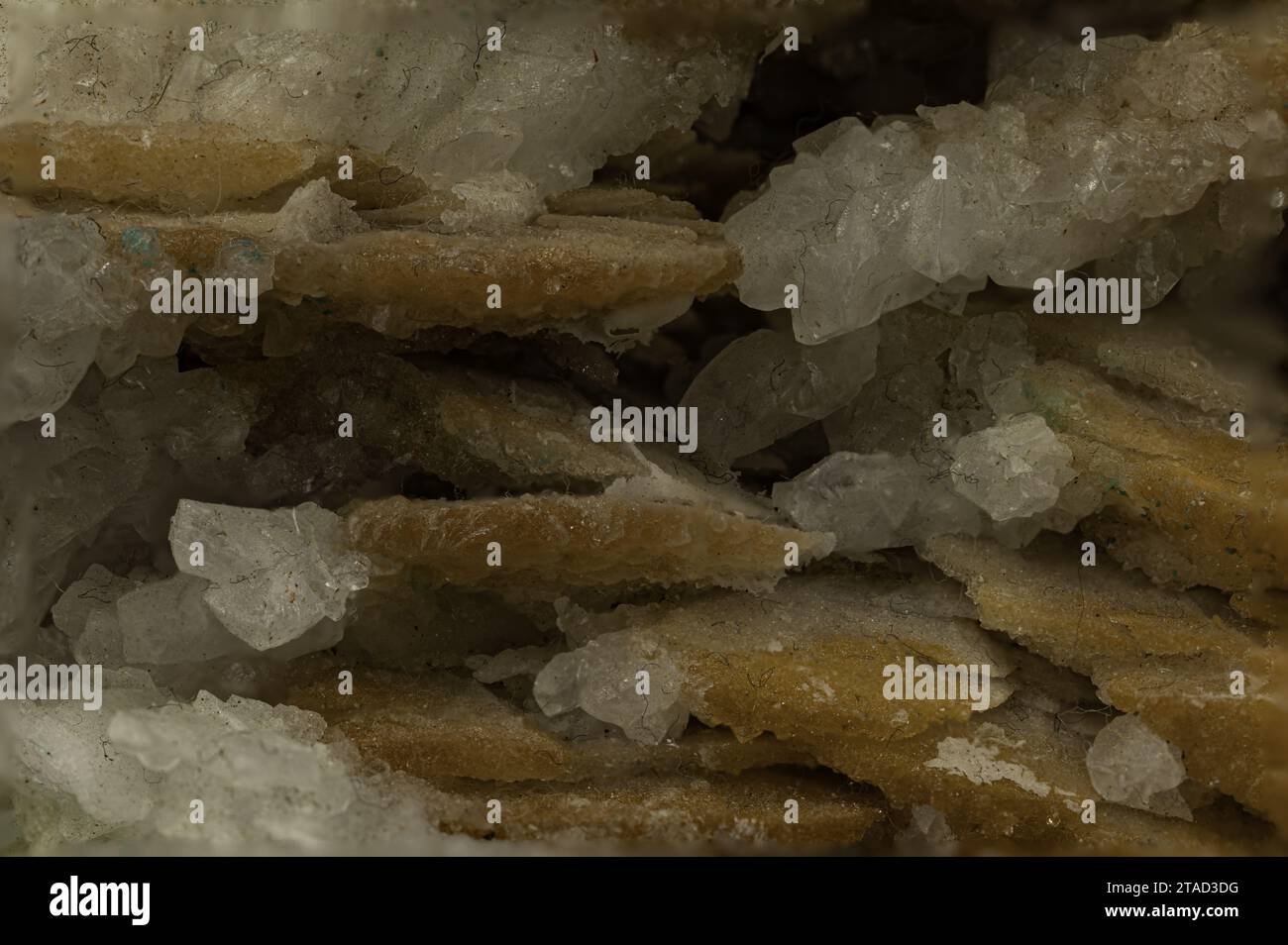 Detailed view unique geological hi-res stock photography and images - Alamy