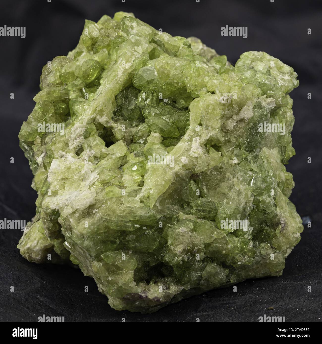 Close-Up View of Polished Green Gemstone, Exquisite Textures and Tones ...