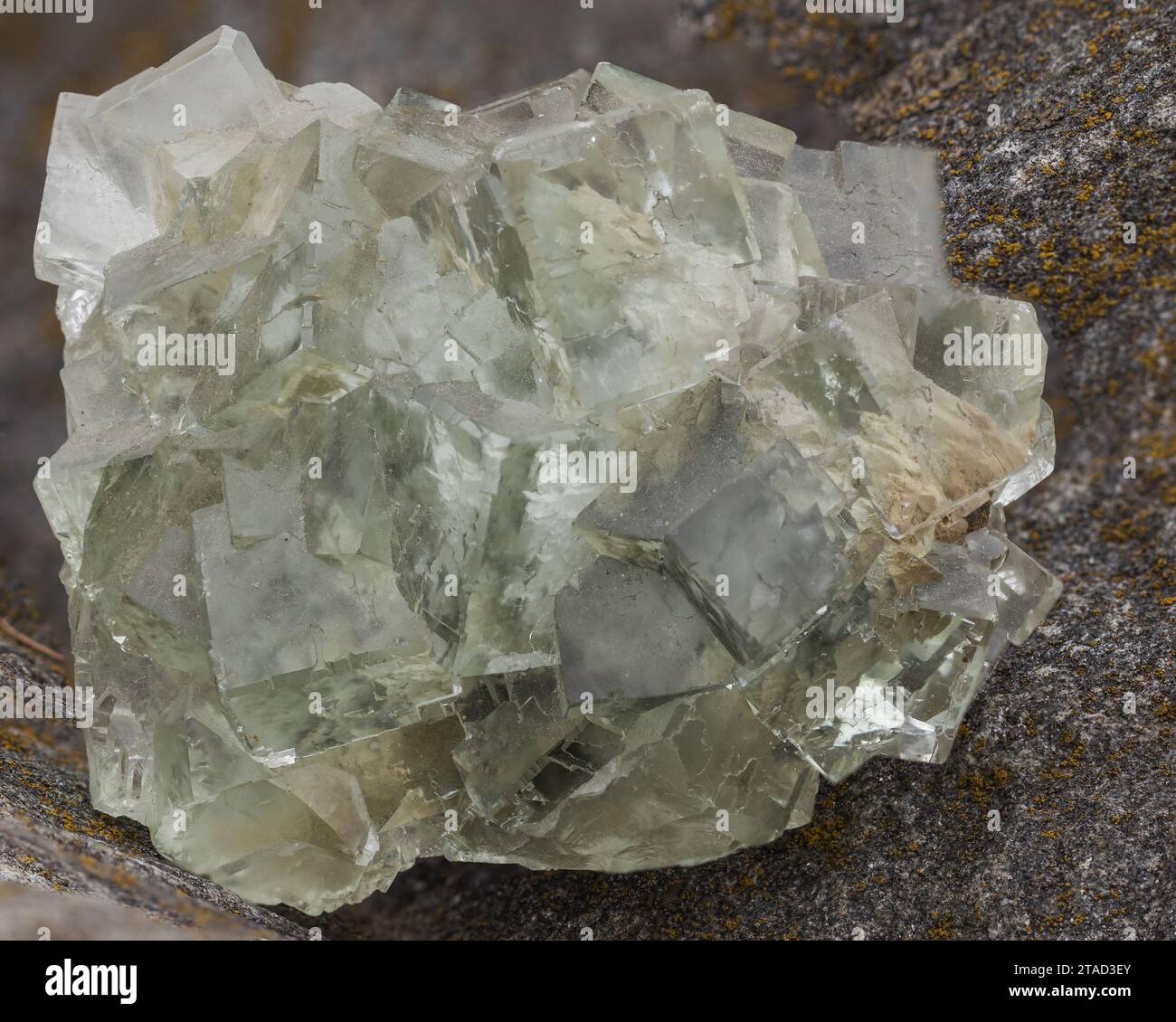 Detailed Macro View Displaying Fluorite Mineral's Intricate Crystal ...