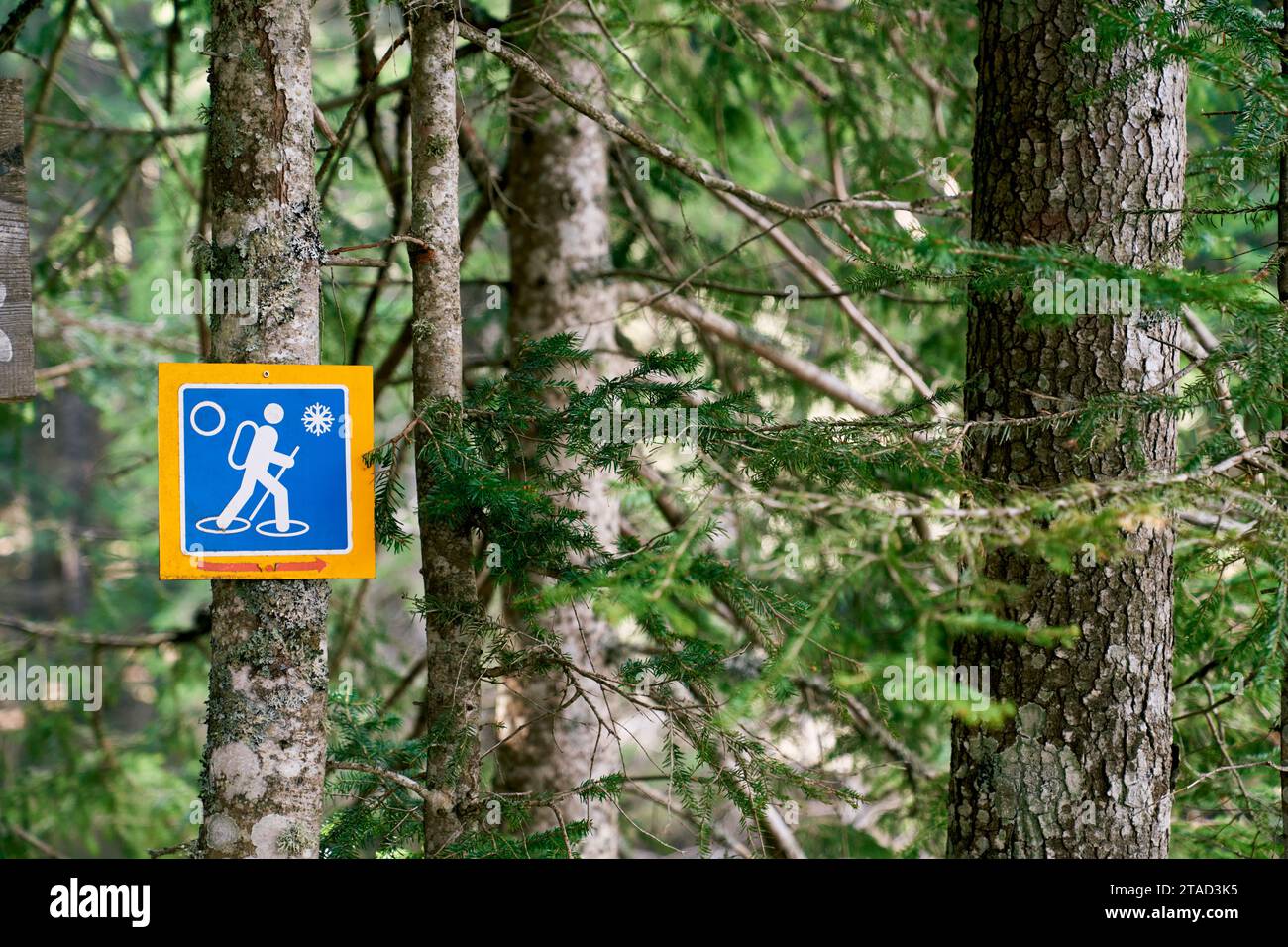 Walking track signs hi-res stock photography and images - Alamy