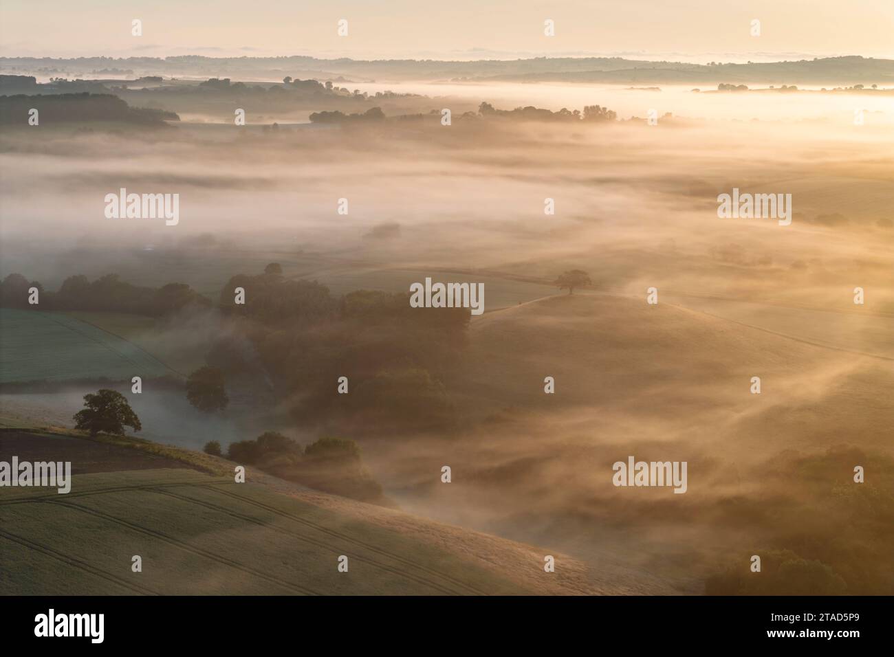 Mist shrouded rolling countryside at dawn, Crediton, Devon, England ...