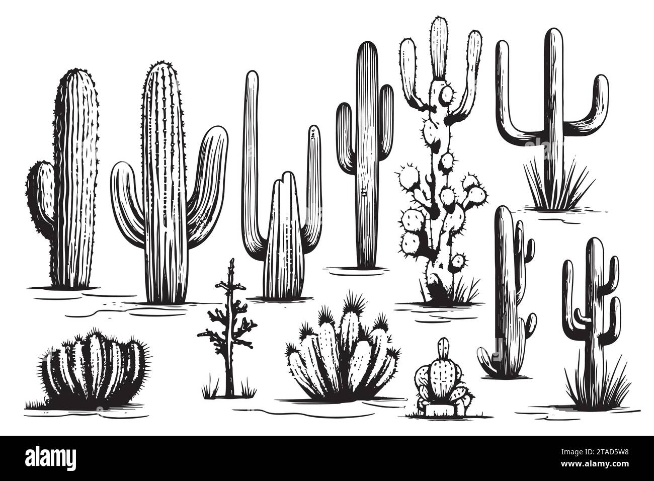 Sketch of the desert of South America with cacti. Prairie landscape. Hand drawn vector ...