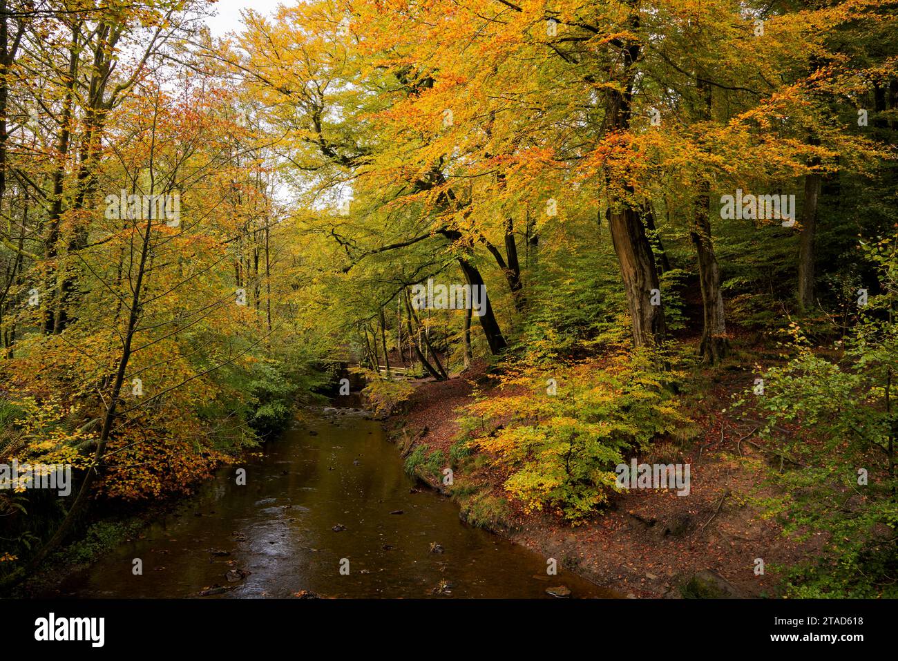 Holcombe brook bury hi-res stock photography and images - Alamy