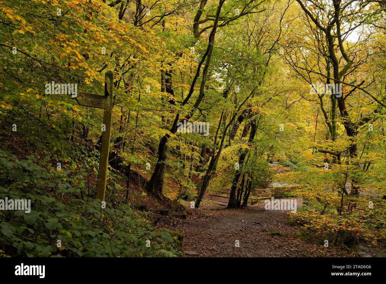 Ramsbottom autumn hi-res stock photography and images - Alamy