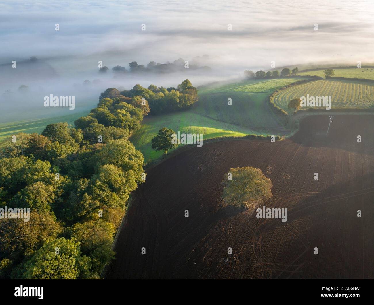Rolling Dartmoor countryside in morning mist, South Tawton, Devon ...