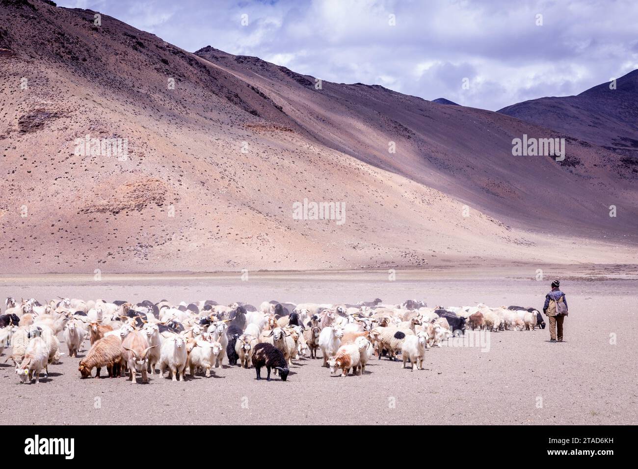 Nomadic tribes of india hi-res stock photography and images - Alamy