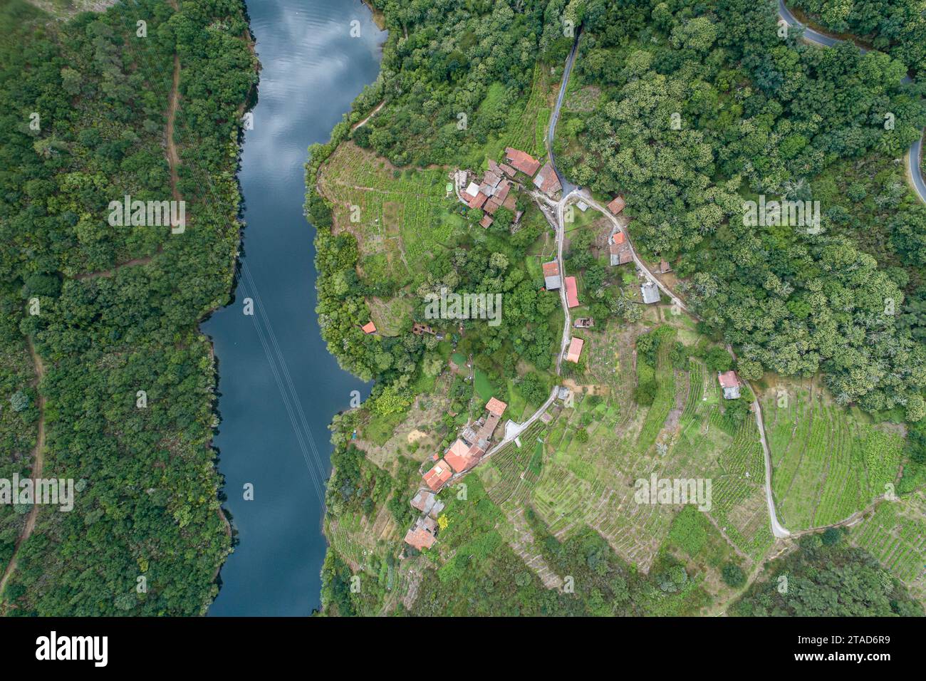 zenithal aerial view with drone of the Sil river canyon. Ribeira Sacra ...