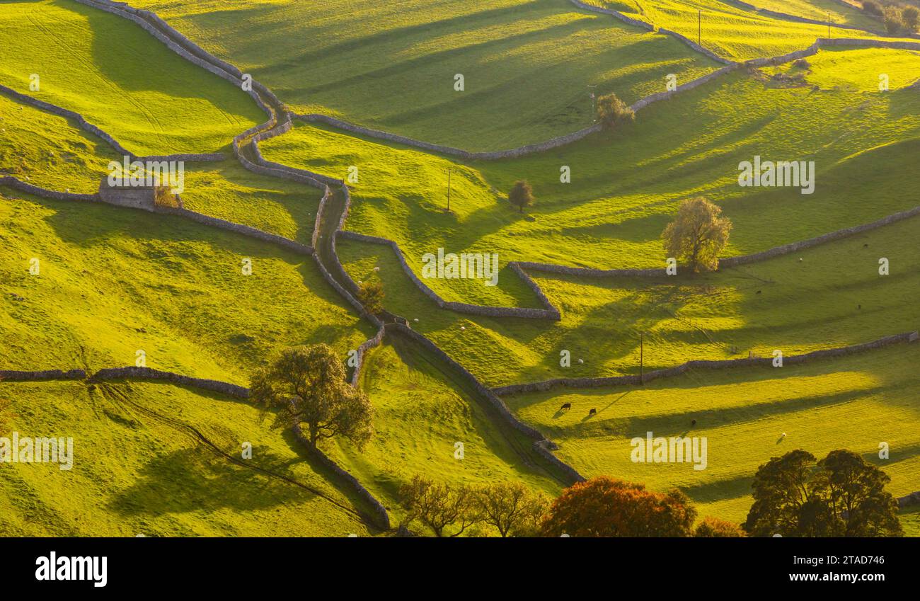 Rolling countryside and dry stone walls near Settle in the Yorkshire ...