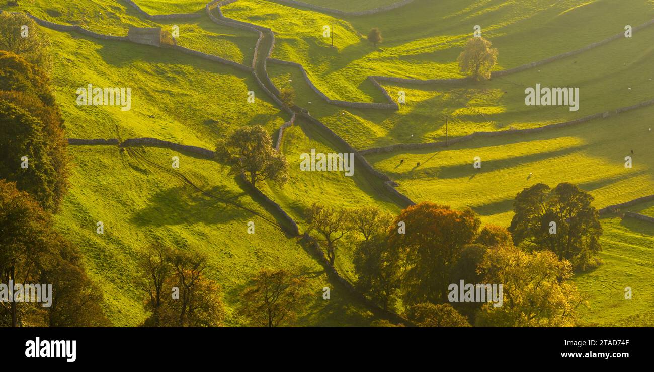 Rolling countryside and dry stone walls near Settle in the Yorkshire ...