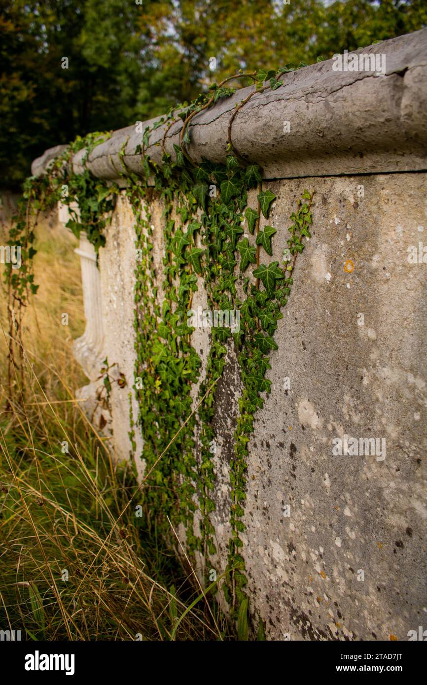 Gothic stone tomb hi-res stock photography and images - Alamy