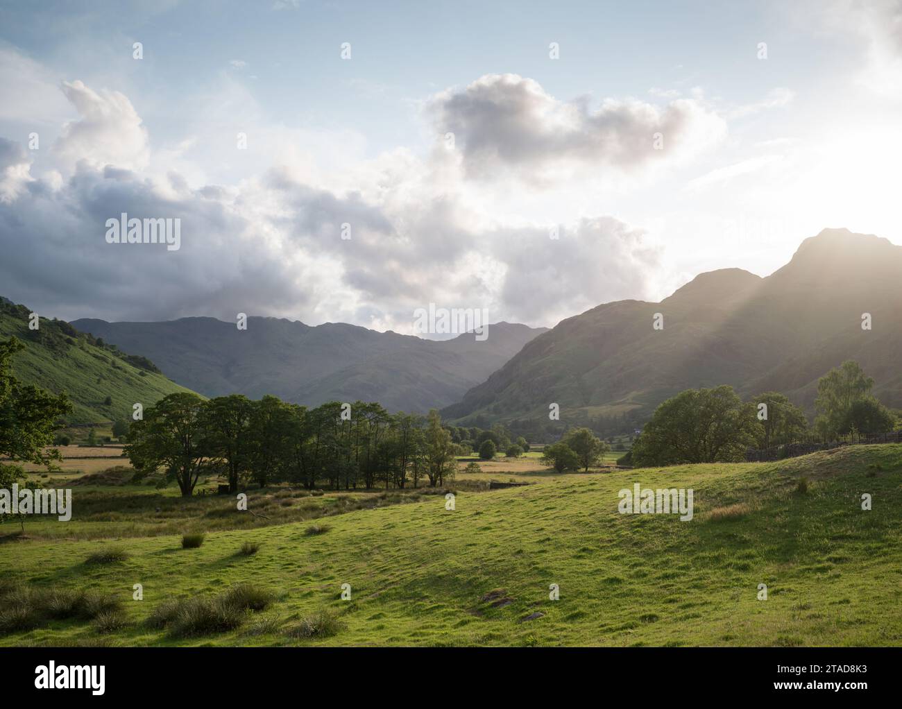 A summer evening view looking up towards the head of Great Langdale ...