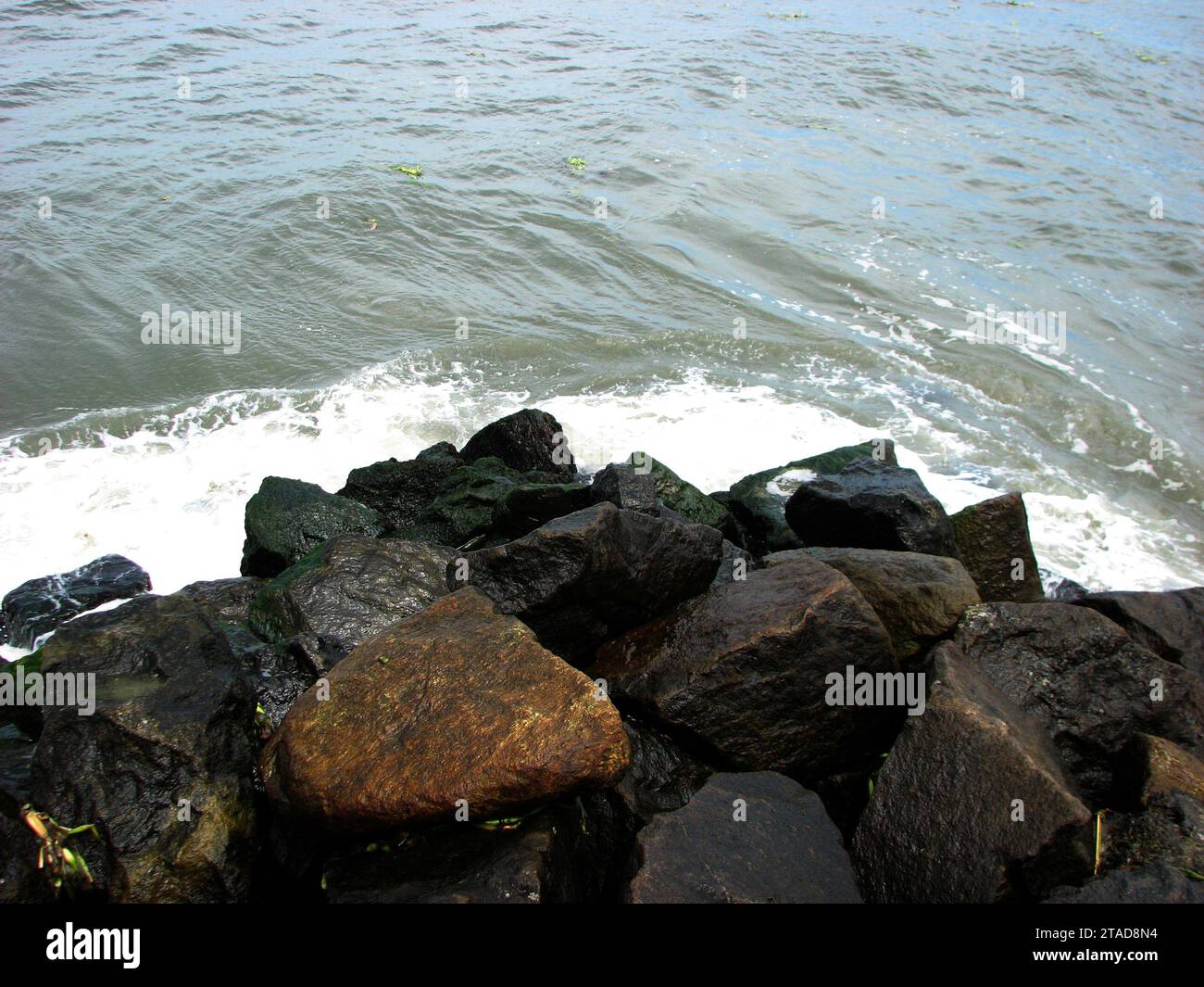 Sea waves crashing on the cliff on the beach of Fort Kochi, Kerala ...