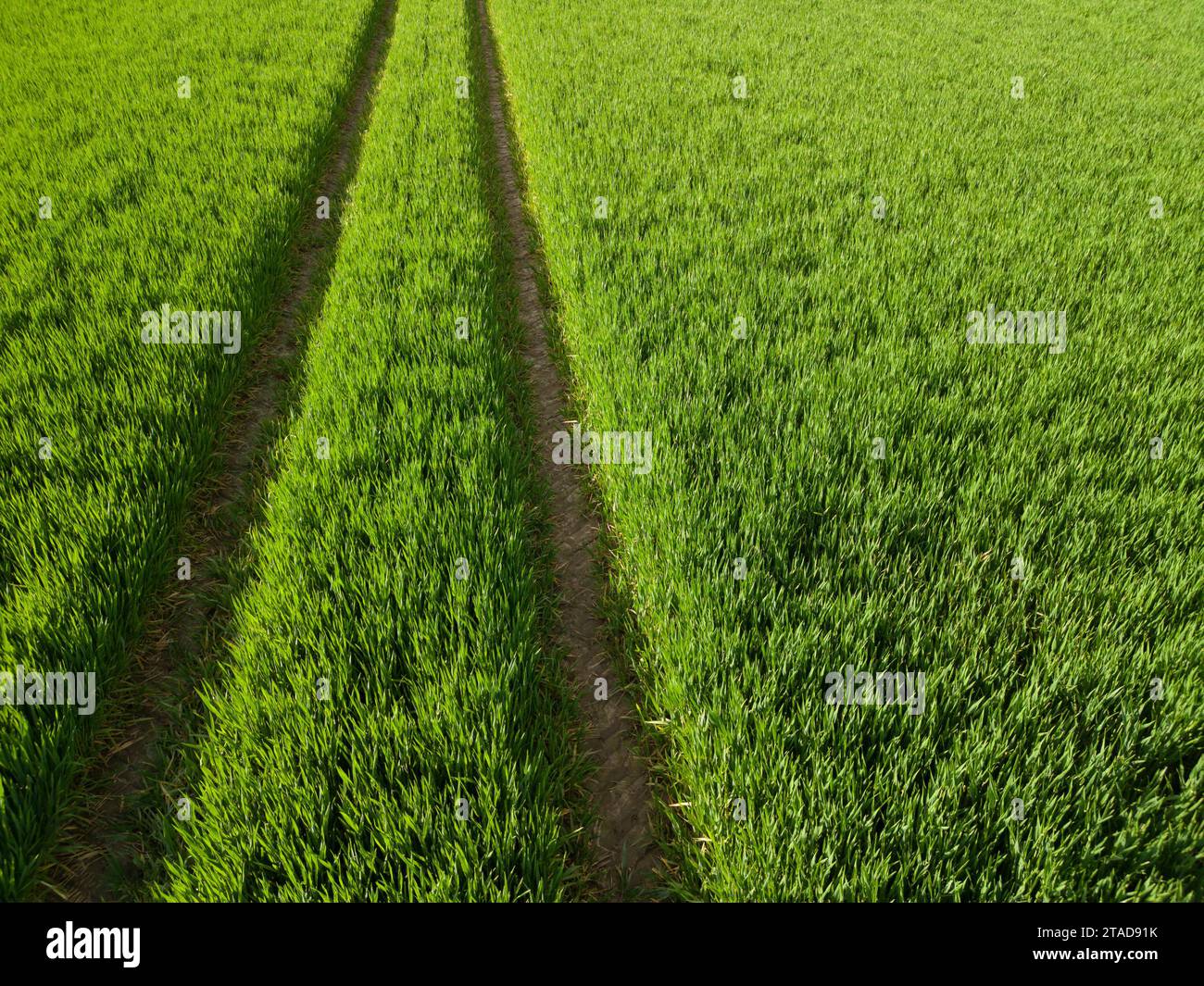 Two path divided hi-res stock photography and images - Alamy