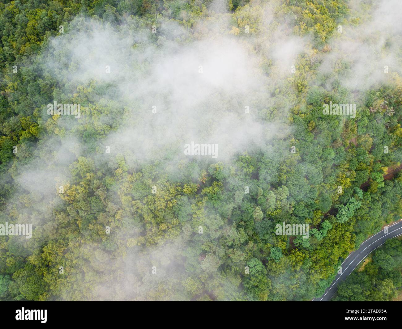 Aerial view smoke billowing hi-res stock photography and images - Alamy