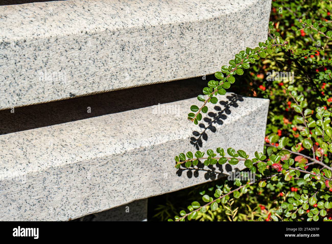 Japanese garden in fall time period Stock Photo - Alamy
