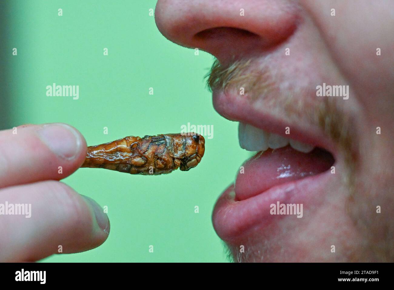 Brno, Czech Republic. 17th Nov, 2023. Company Grig, specializing in ...