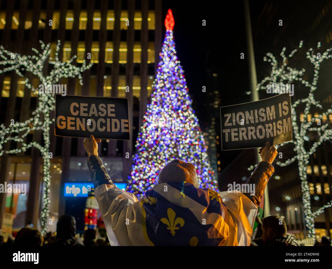 NEW YORK, NEW YORK - NOVEMBER 29: A pro-Palistine protester holds up ...