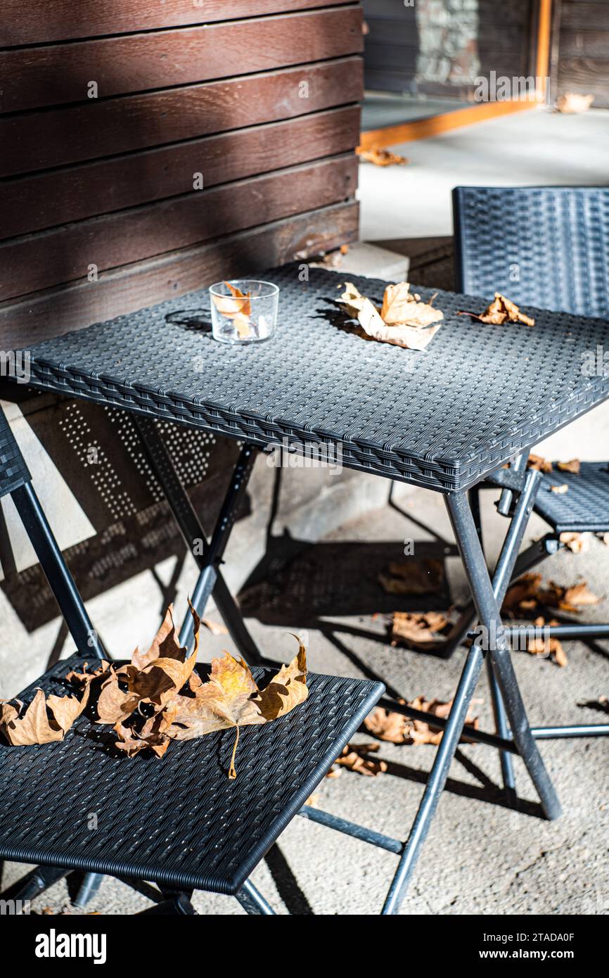 Street cafe tables covered with fallen leaves of maple trees in sunny ...