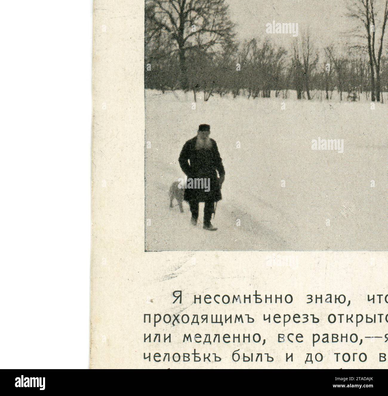 Photo of Lev Nikolayevich Tolstoy (Russian: Лев Николаевич Толстой; 9 ...
