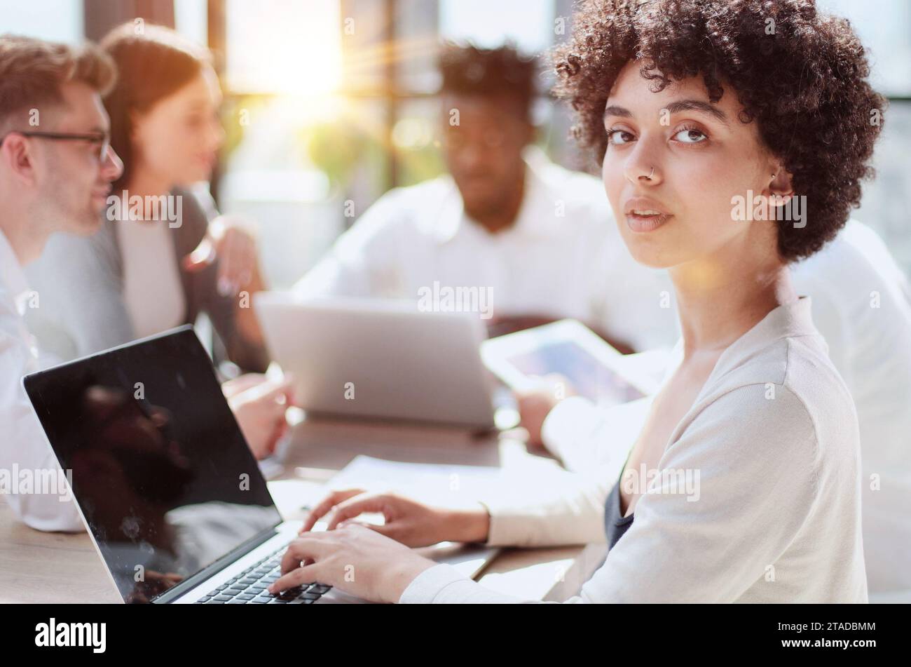 Smiling professional business leaders and employees group team portrait ...