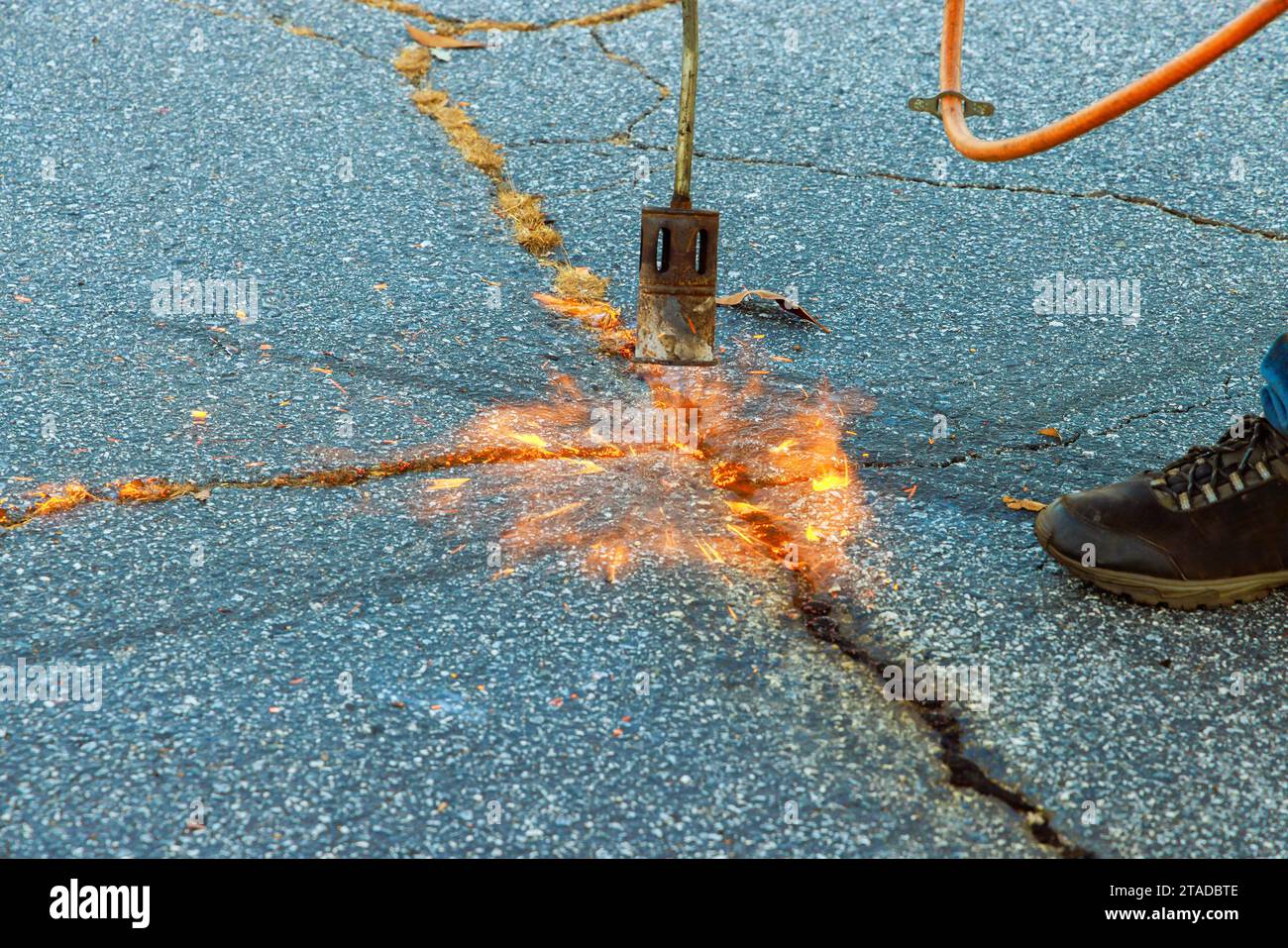 Worker burns dry grass in asphalt cracks before coating with bitumen ...
