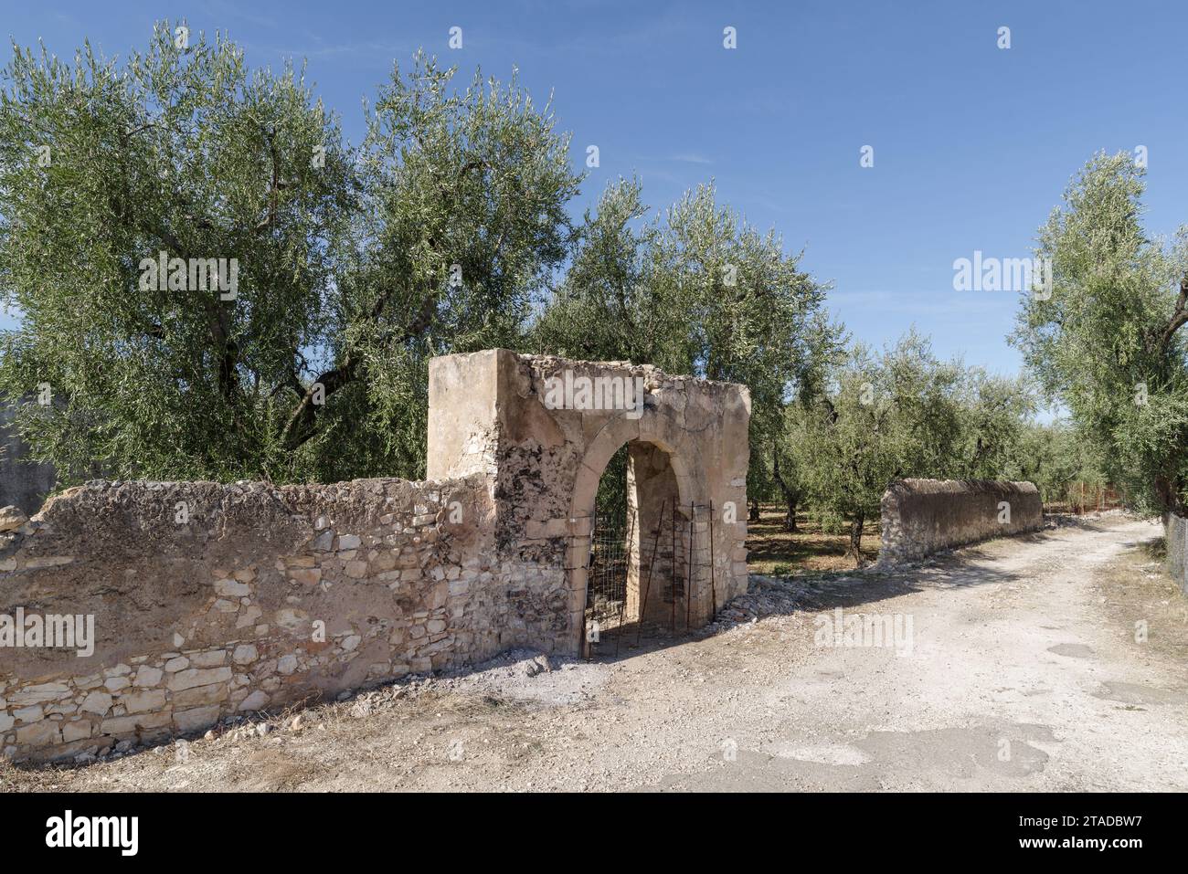 Doorway of a ruined farm building of an olive tree grove, Apulia, Italy ...